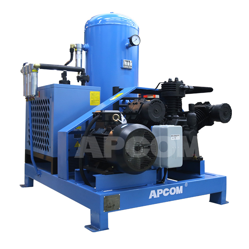 APCOM compressor High pressure 40 30 20 bar PET air compressor for ...