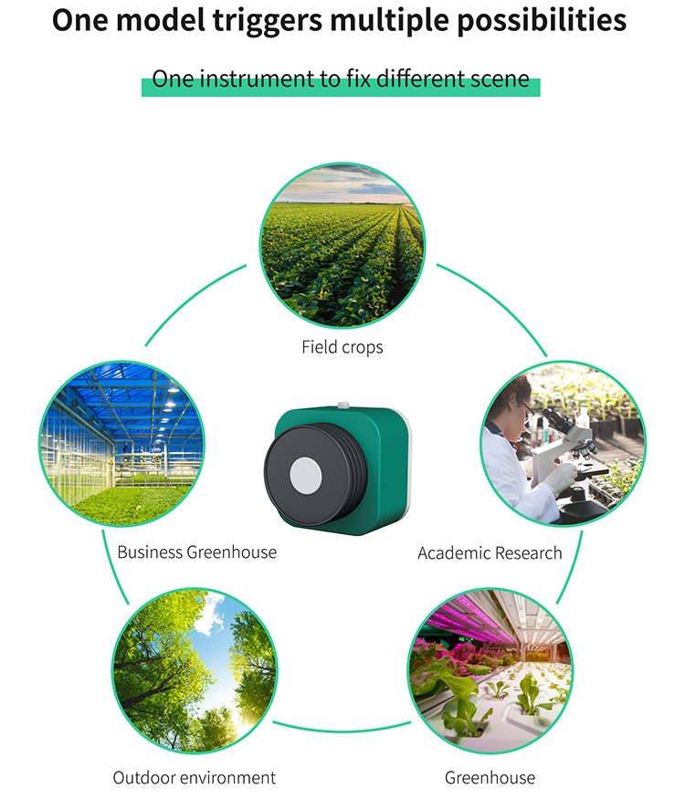 HPL200P Umol/m2/s PPFD Meter - LaserSE